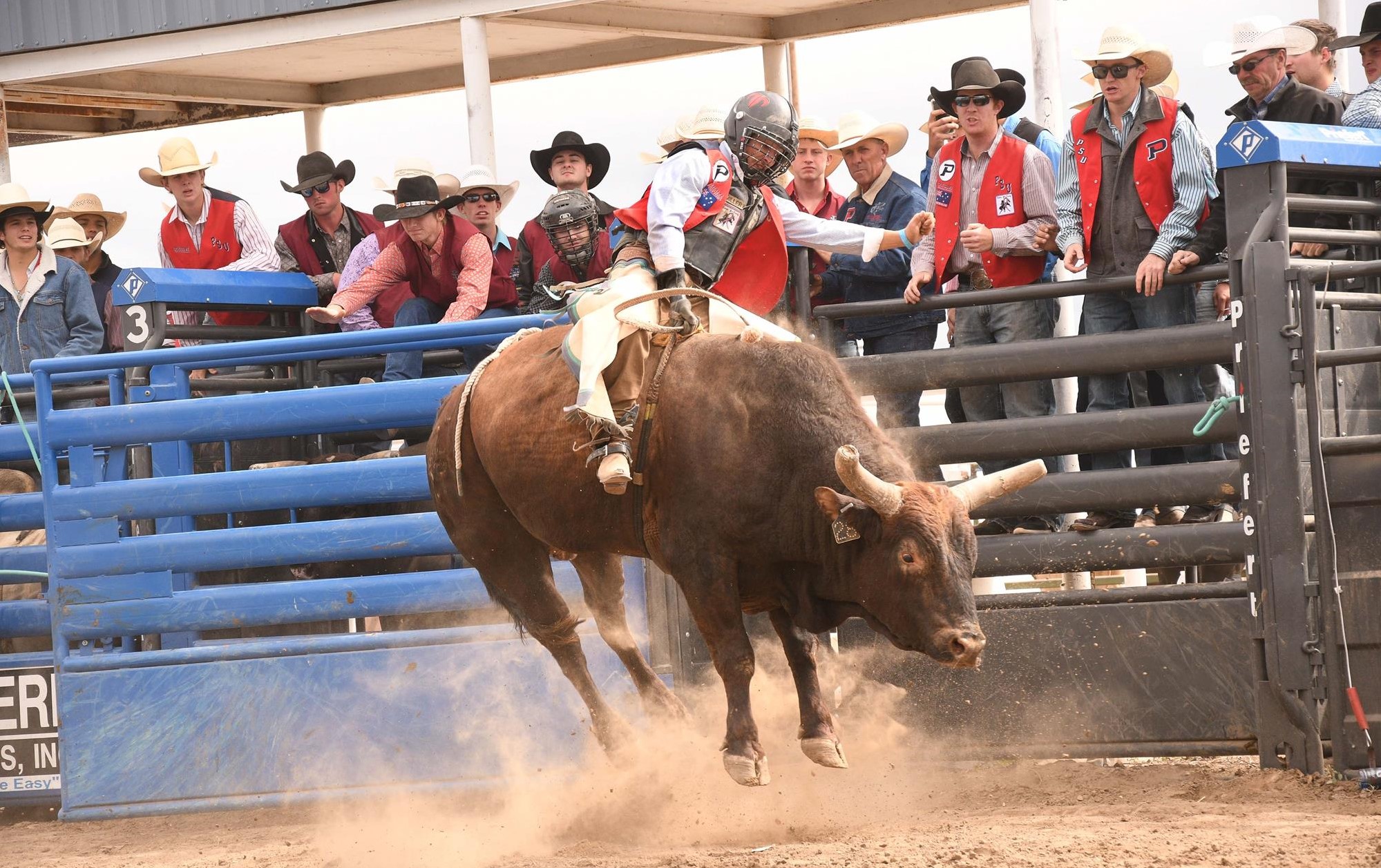 Panhandle State Rodeo Off to a Promising Start - Oklahoma Panhandle ...