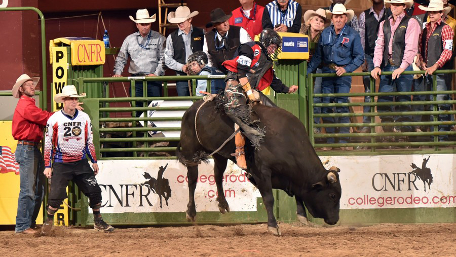 Dustin Martinez - Rodeo - Oklahoma Panhandle State University Athletics
