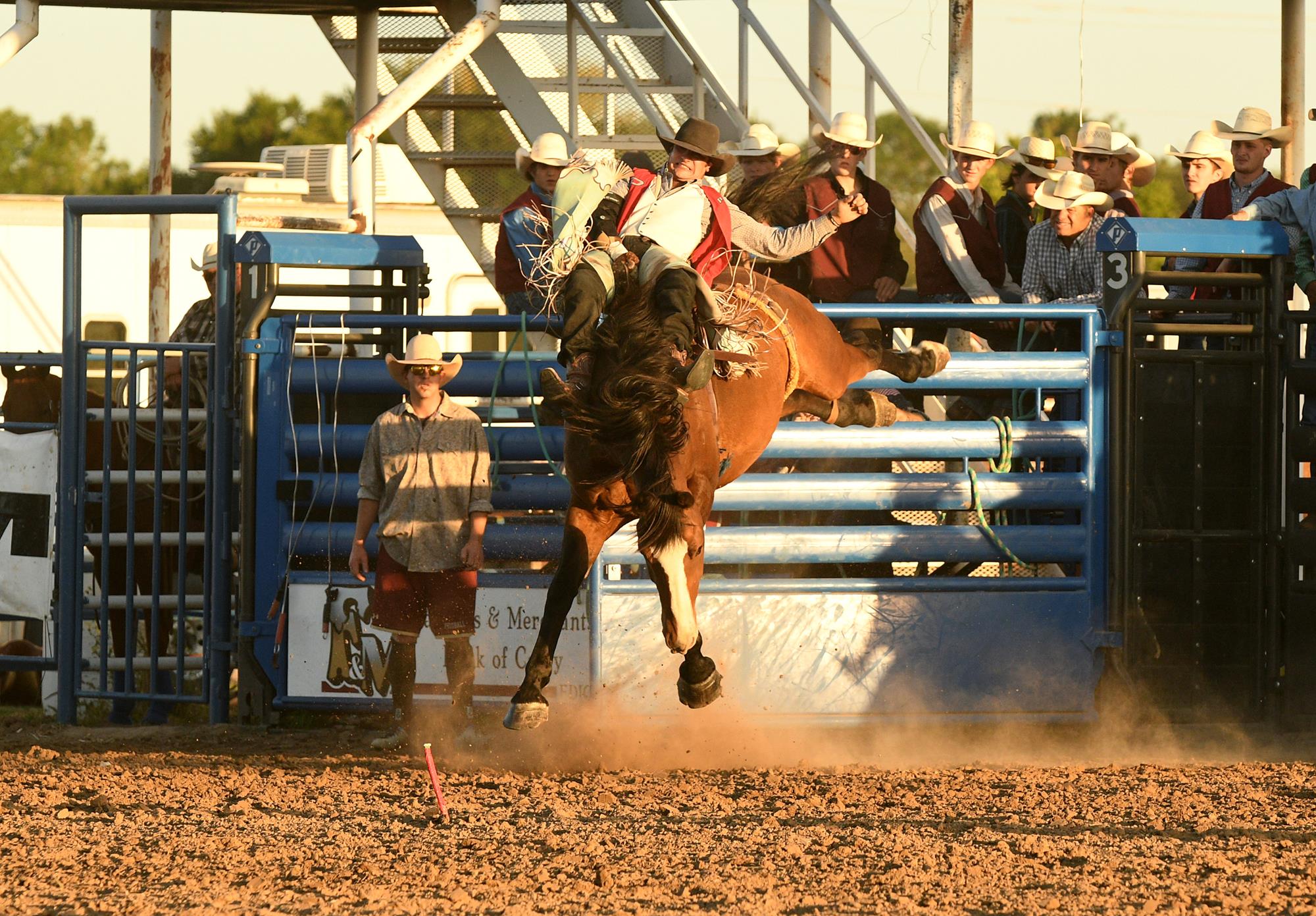Women’s Team Wins First College Rodeo - Oklahoma Panhandle State ...