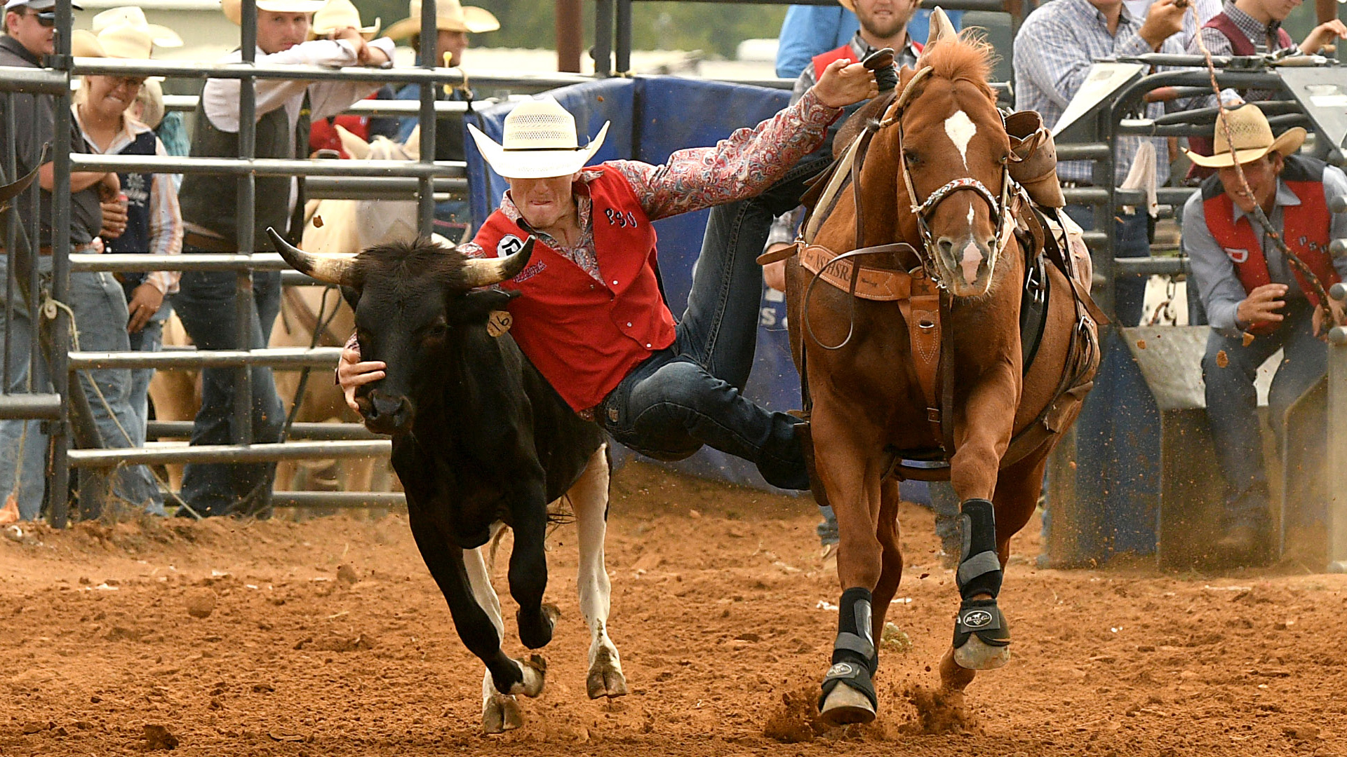 Rodeo teams sweep SEOSU Stampede; Goings wins men's All-Around ...