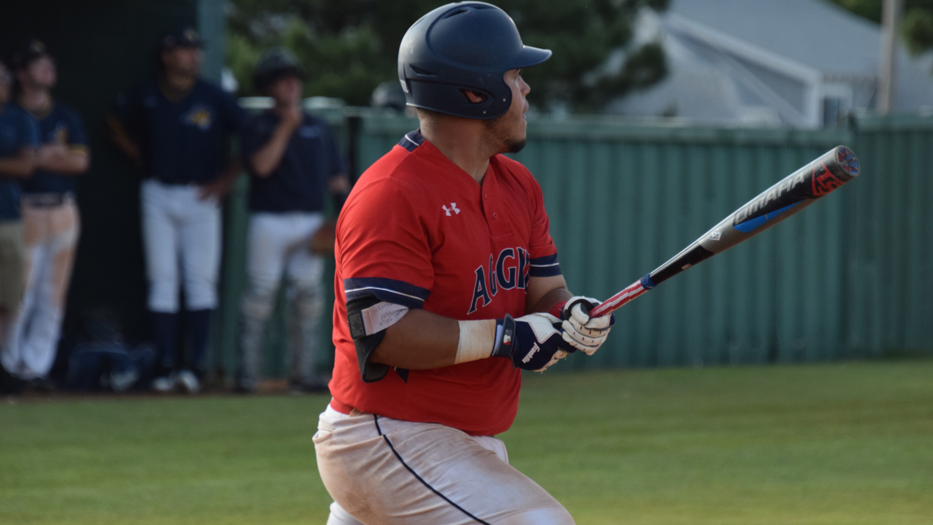 Luis Rodriguez - Baseball - Oklahoma Panhandle State University Athletics