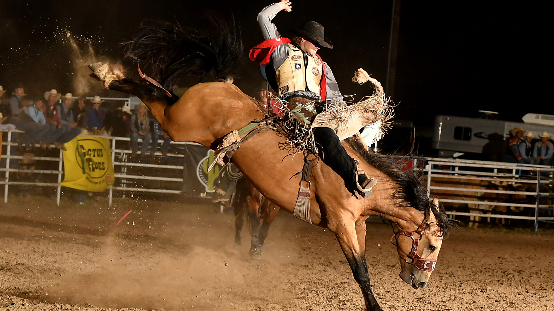 Jade Taton - Rodeo - Oklahoma Panhandle State University Athletics
