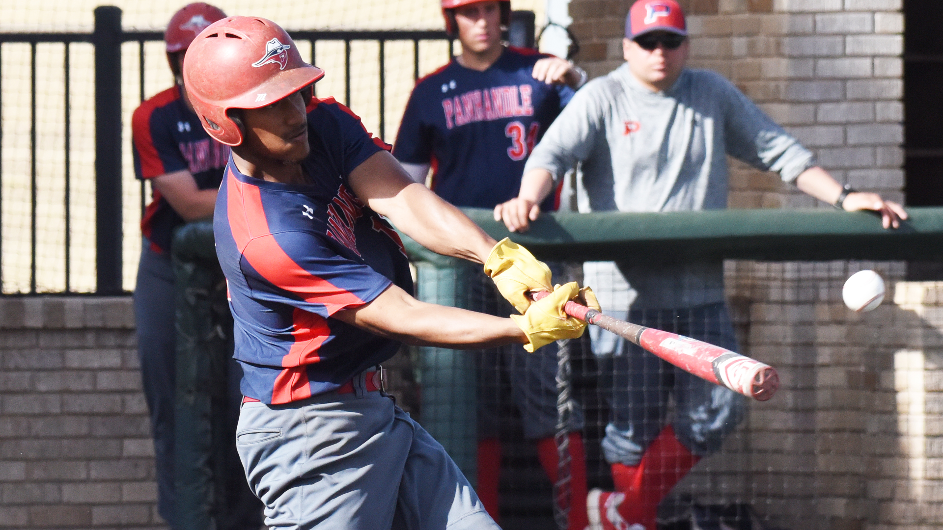 Markus Bracey - Baseball - Oklahoma Panhandle State University Athletics