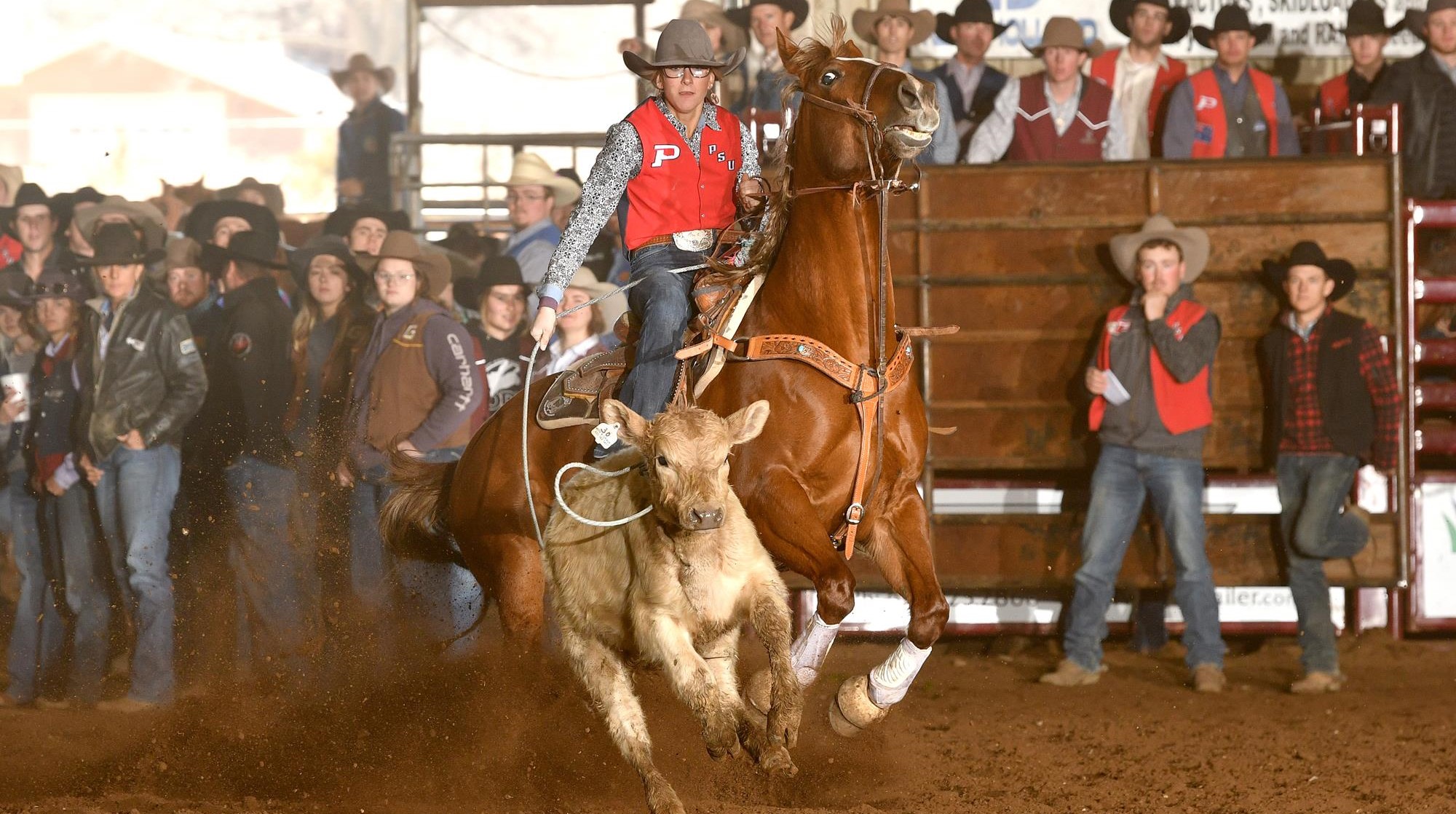 Women’s Rodeo Dominate Despite Frosty Conditions at Fort Scott ...