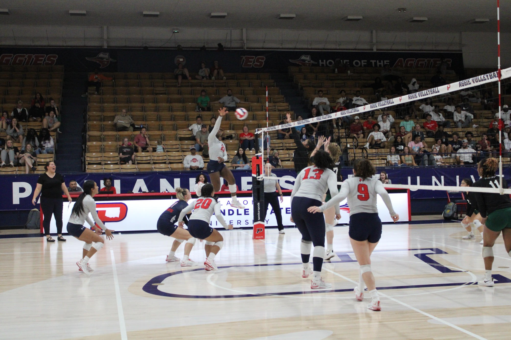 OPSU Aggies drop match to SAGU Lions - Oklahoma Panhandle State ...