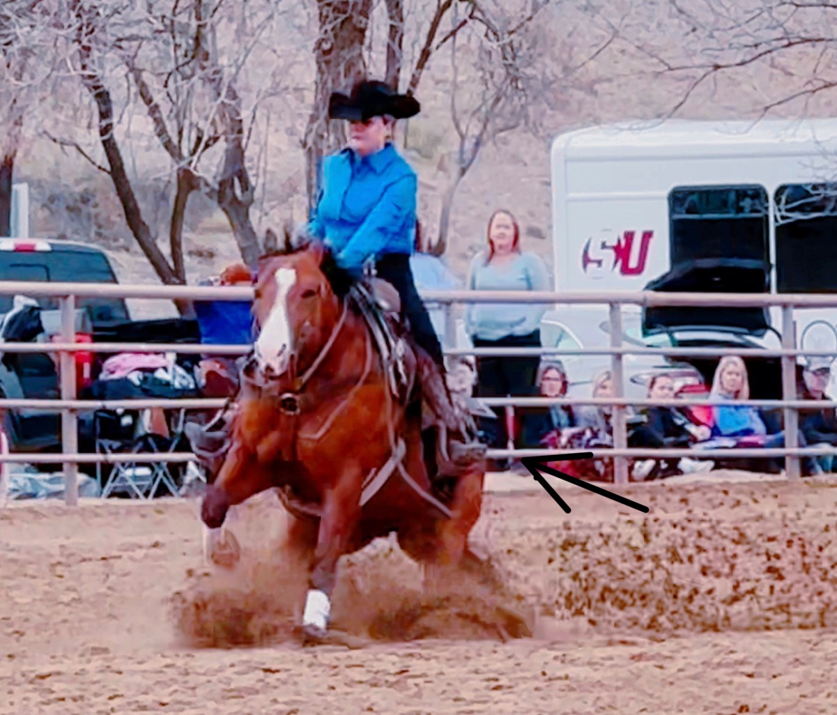 Equestrian Team recaps the season - Oklahoma Panhandle State University ...
