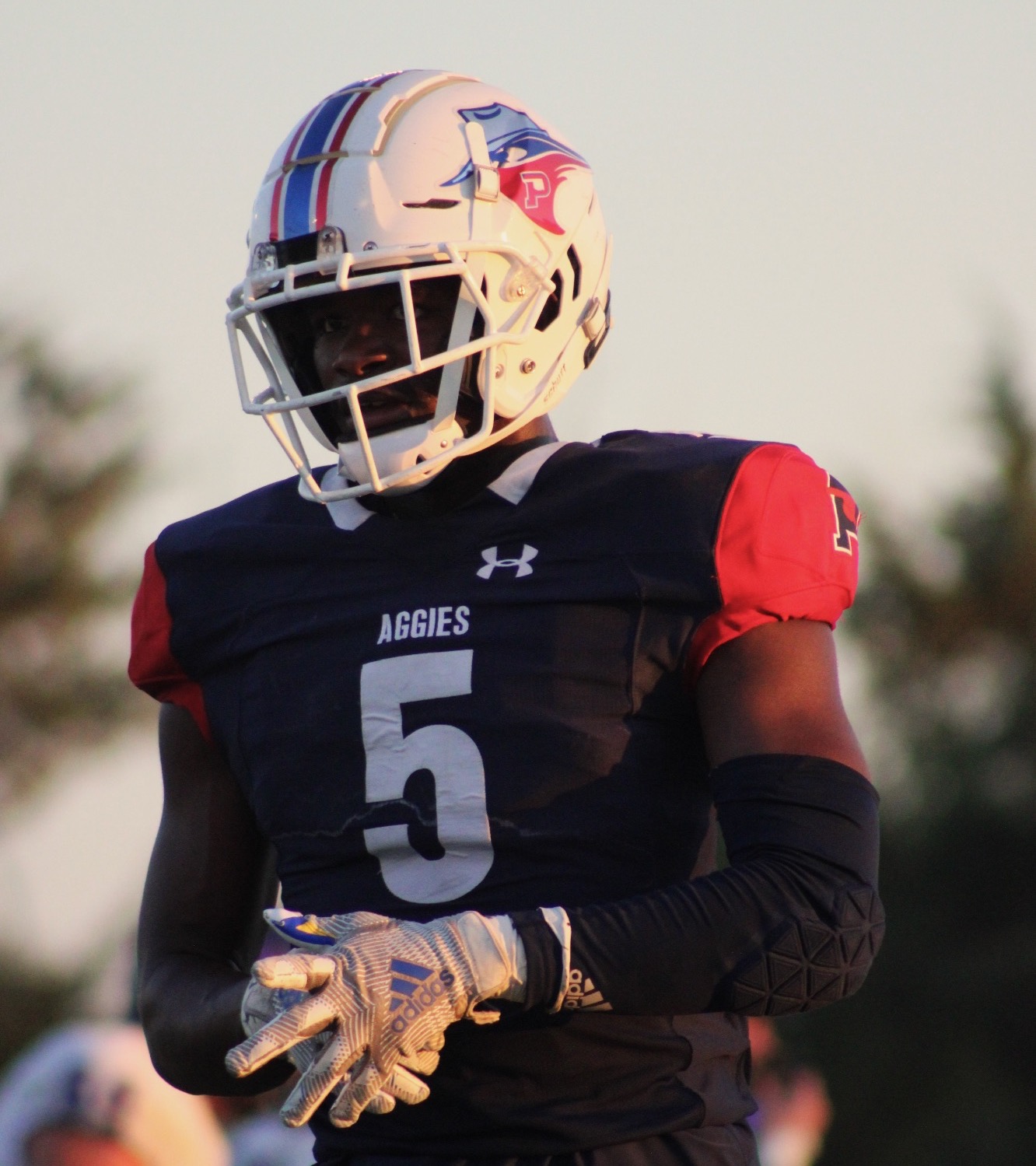 Aggies Fall to Rams - Oklahoma Panhandle State University Athletics