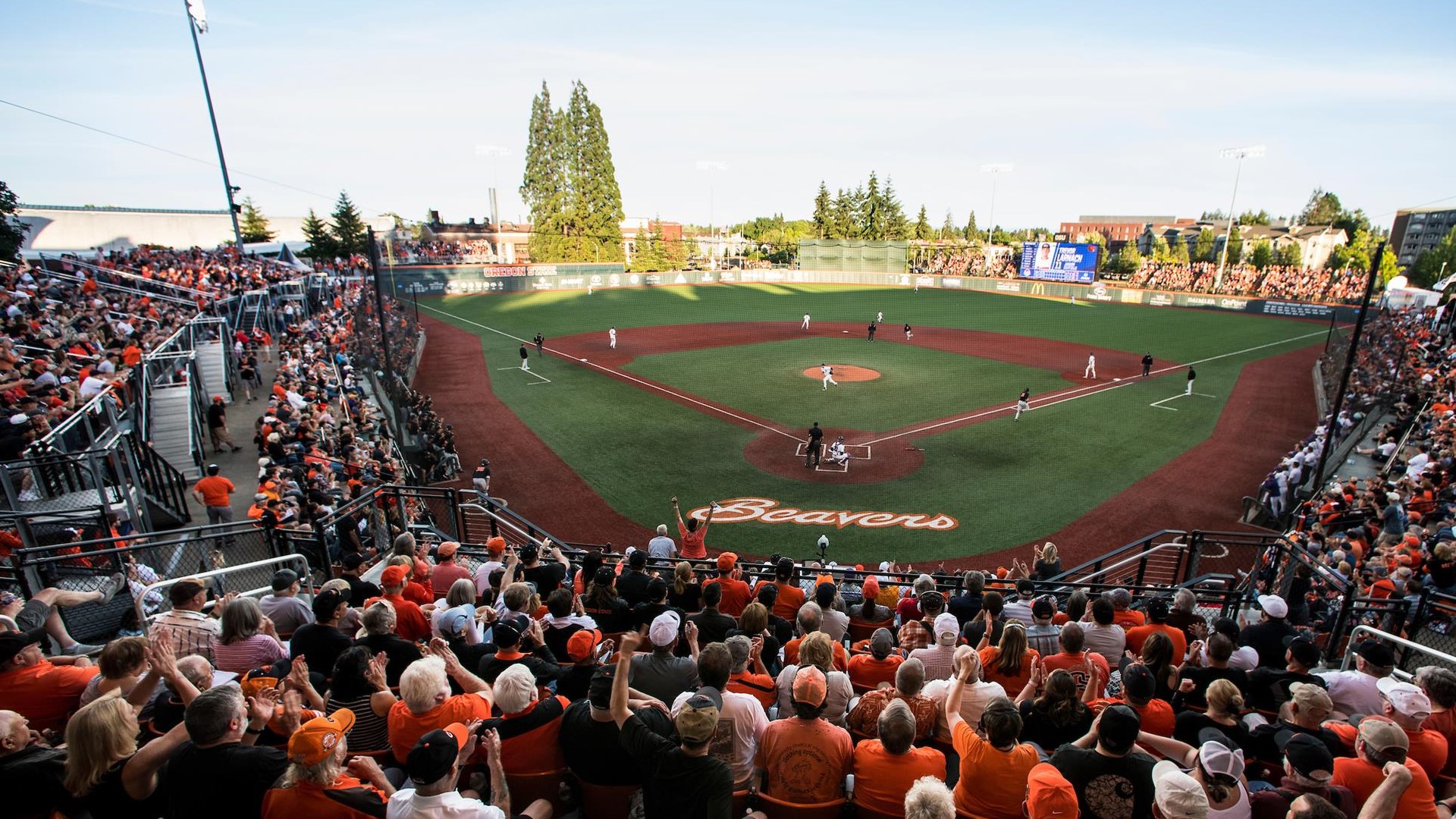 Oregon State University Athletics
