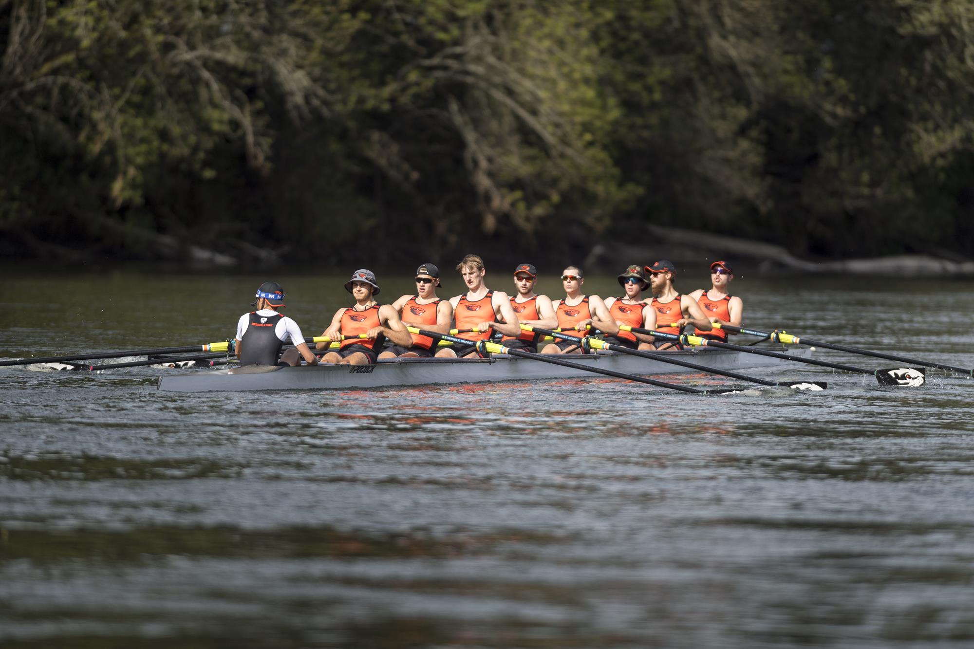 Oregon State University Athletics