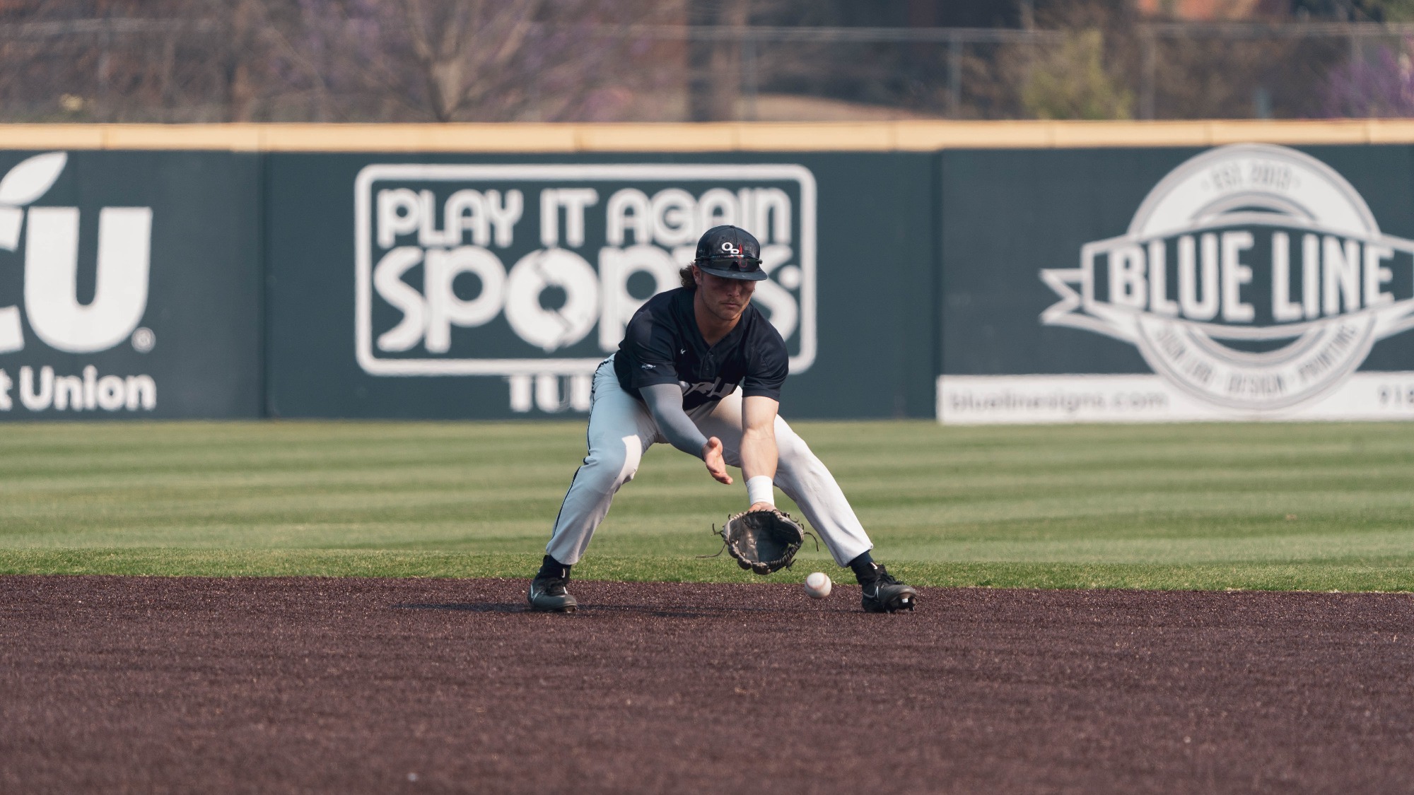 Baseball Oral History at Mary Spurr blog