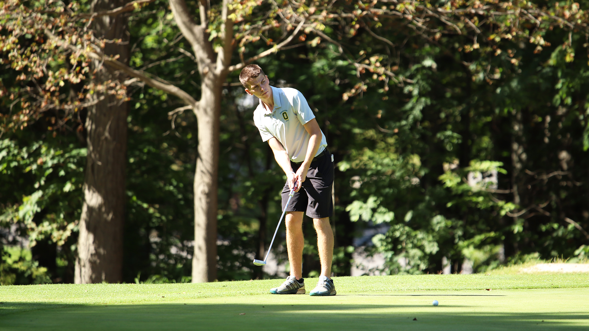 Ryan Fecco - Men's Golf - Oswego State Athletics