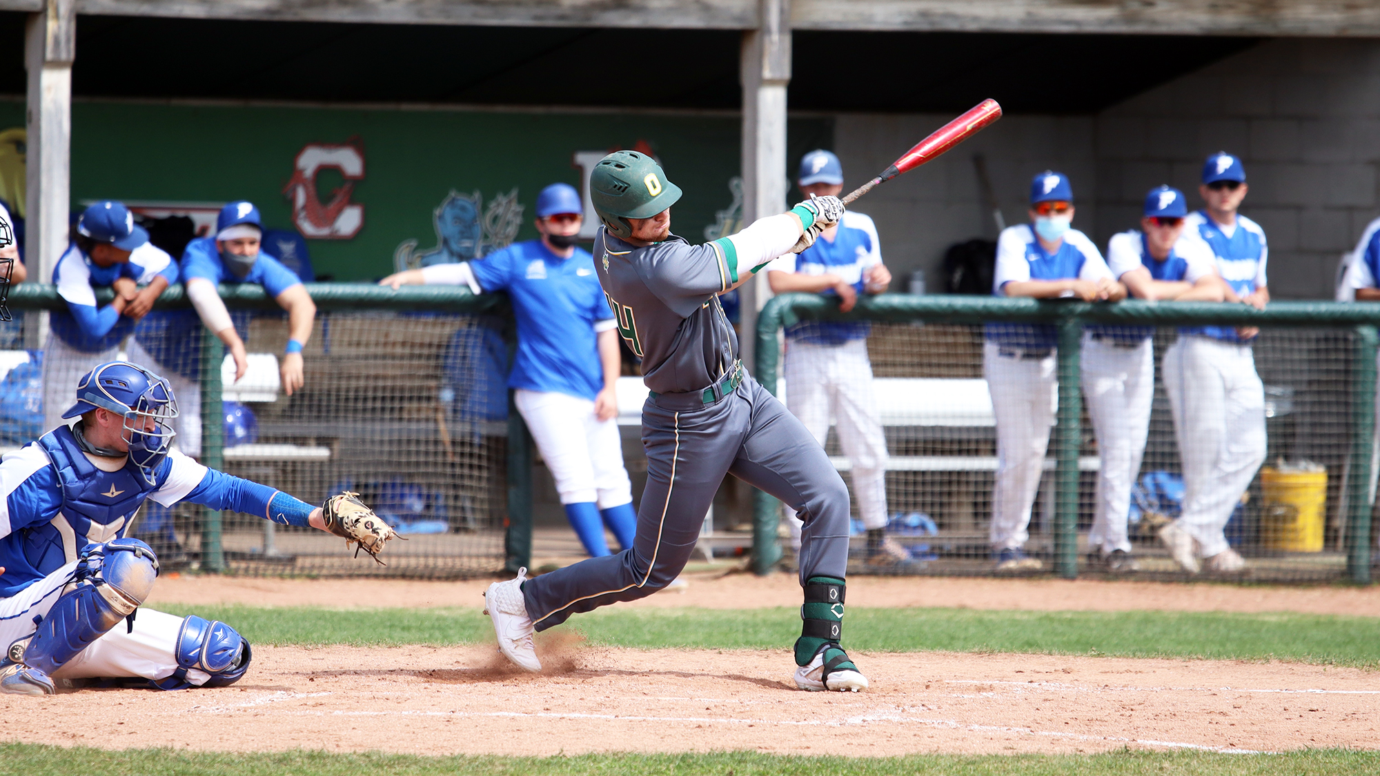 Jacob Levine - Baseball - Oswego State Athletics
