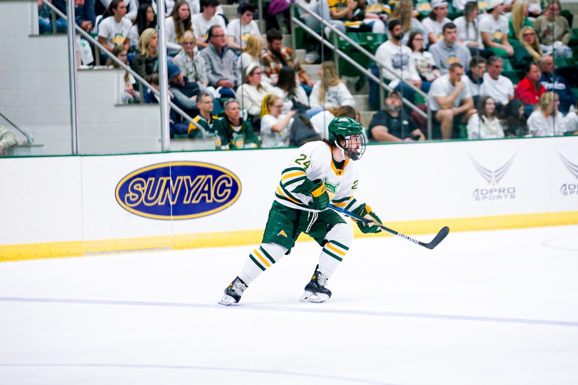Shane Bull - Men's Ice Hockey - Oswego State Athletics