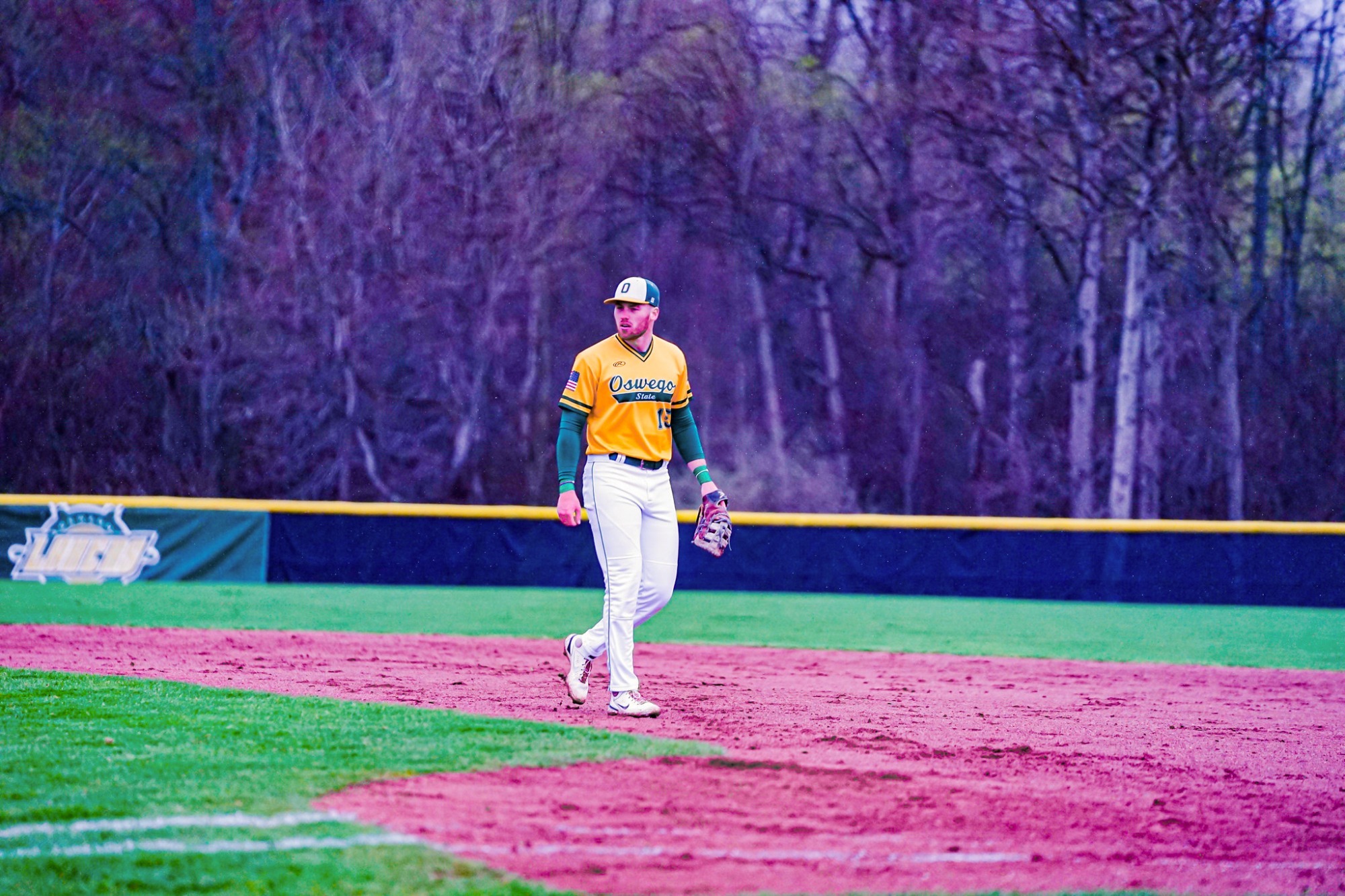 Jacob Levine - Baseball - Oswego State Athletics