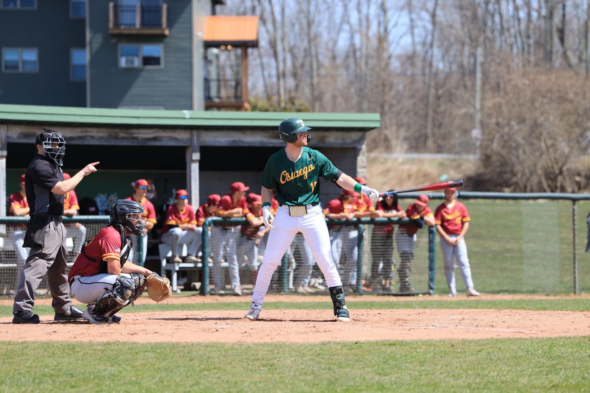 Jacob Levine - Baseball - Oswego State Athletics