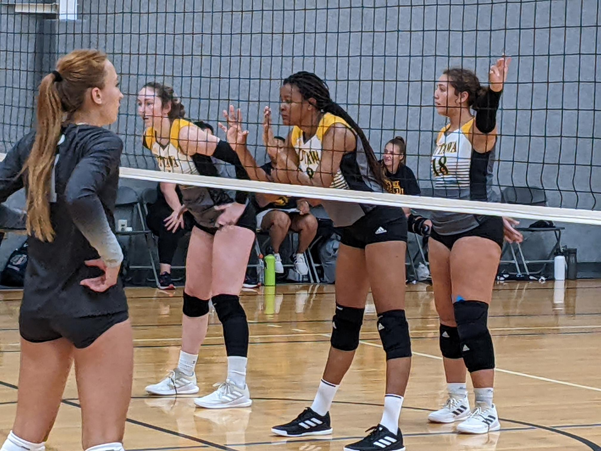 Megan Wall - 2022 - Women's Volleyball - Ottawa University