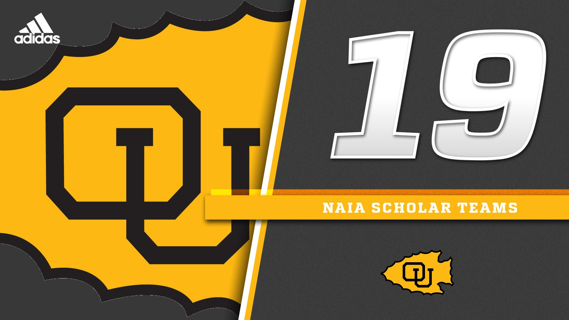 KCAC Partners with NAIA Ball for In-Depth Baseball Coverage in 2025 ...