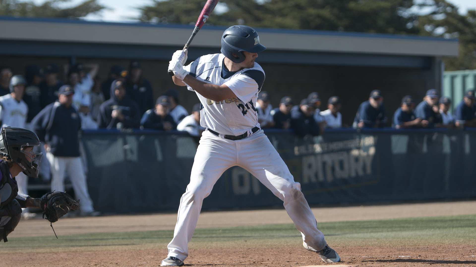 TJ Dove - Baseball - CSU Monterey Bay Athletics