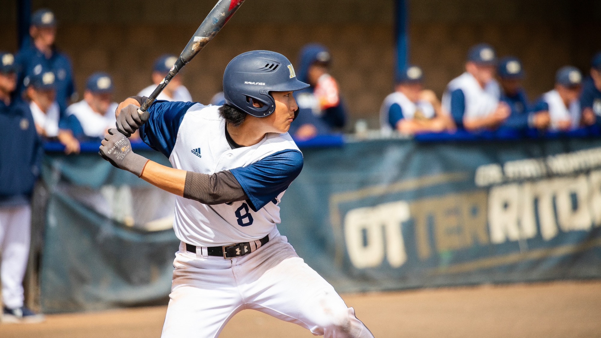 Nico Hartojo - Baseball - CSU Monterey Bay Athletics