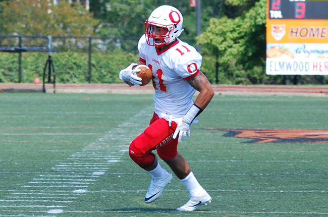 Julian Lowe - 2017 - Football - Otterbein University Athletics