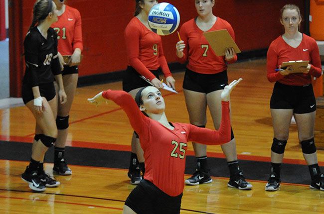 Morgan Lowenkamp - 2017 - Women's Volleyball - Otterbein University ...