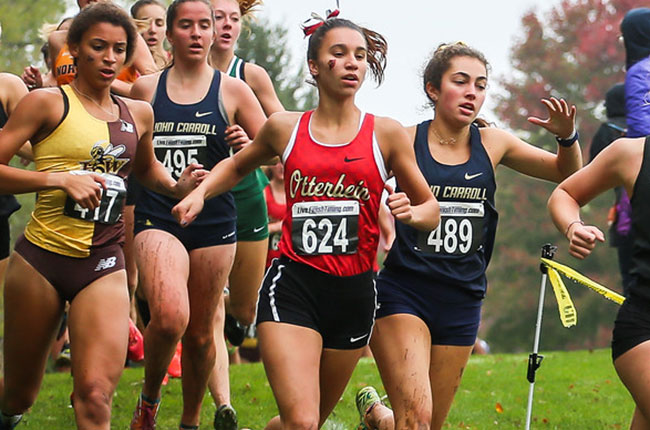 Rachel Lyda - 2018 - Women's Cross Country - Otterbein University Athletics