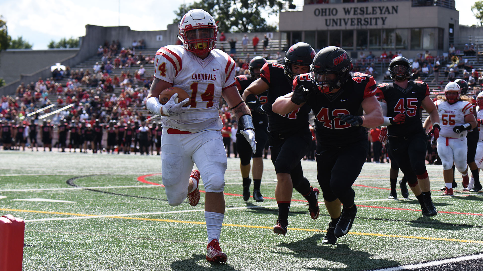 Matt Webb - 2019 - Football - Otterbein University Athletics