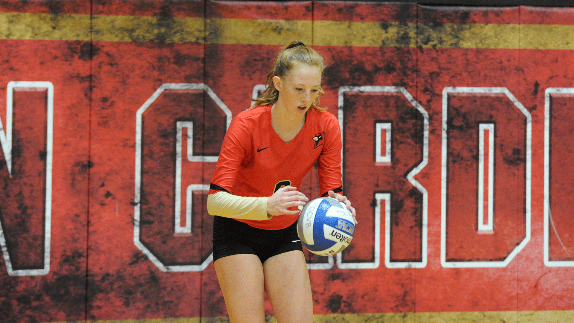 Anna Donner - 2020-21 - Women's Volleyball - Otterbein University Athletics