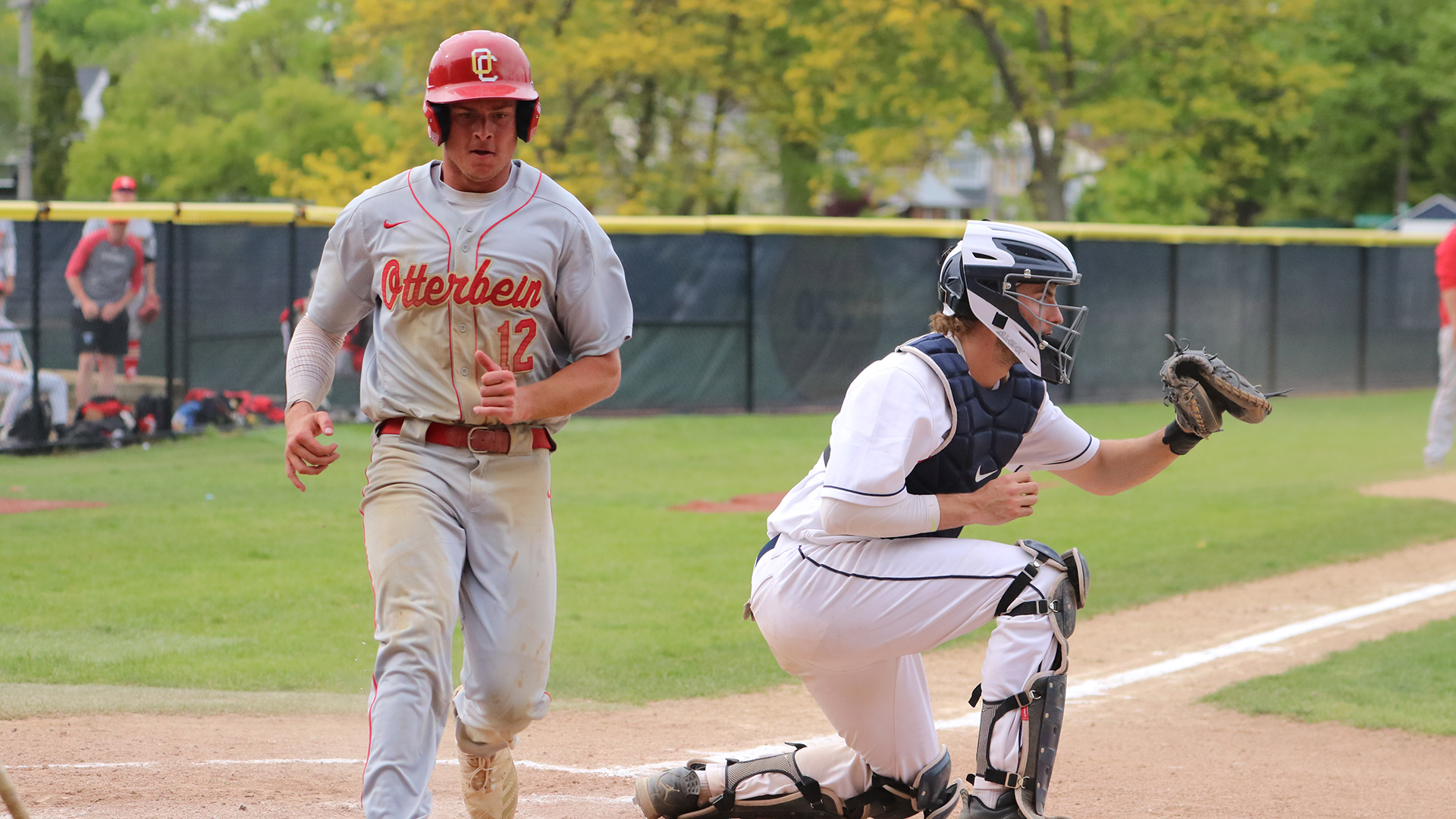 Zach Franz - 2023 - Baseball - Otterbein University Athletics