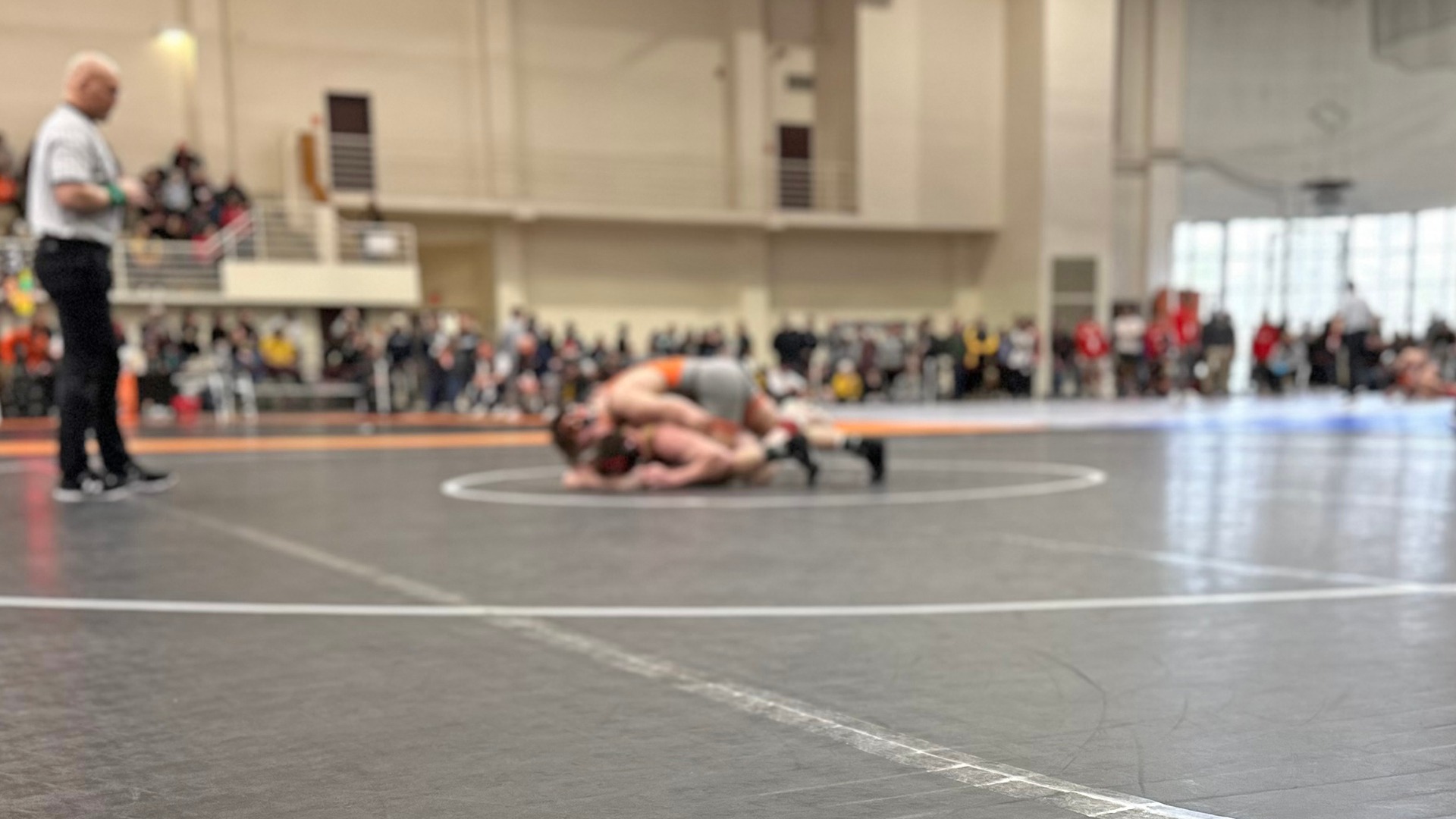 Four Cardinals place as Men's Wrestling finishes 7th at Ohio Northern ...