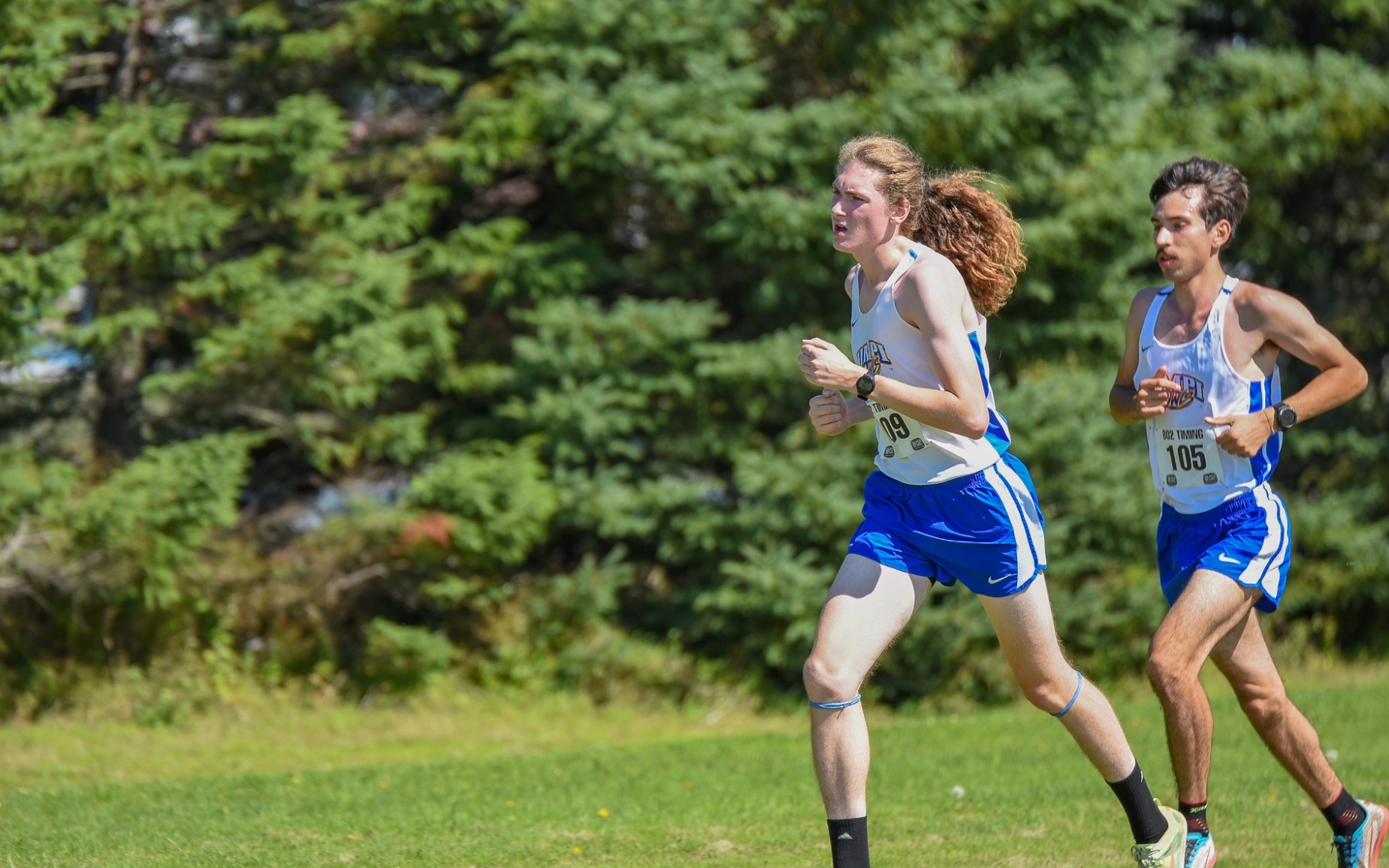 Men's Cross Country Compete in NCAA East Regionals - University of ...