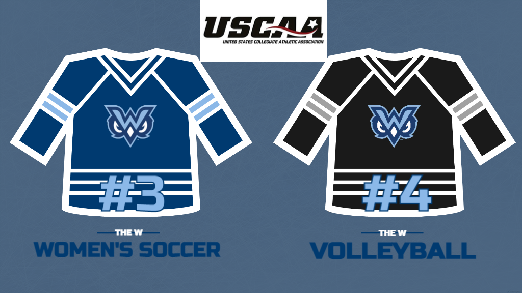 Owls Women’s Soccer & Volleyball earn USCAA rankings - Mississippi ...