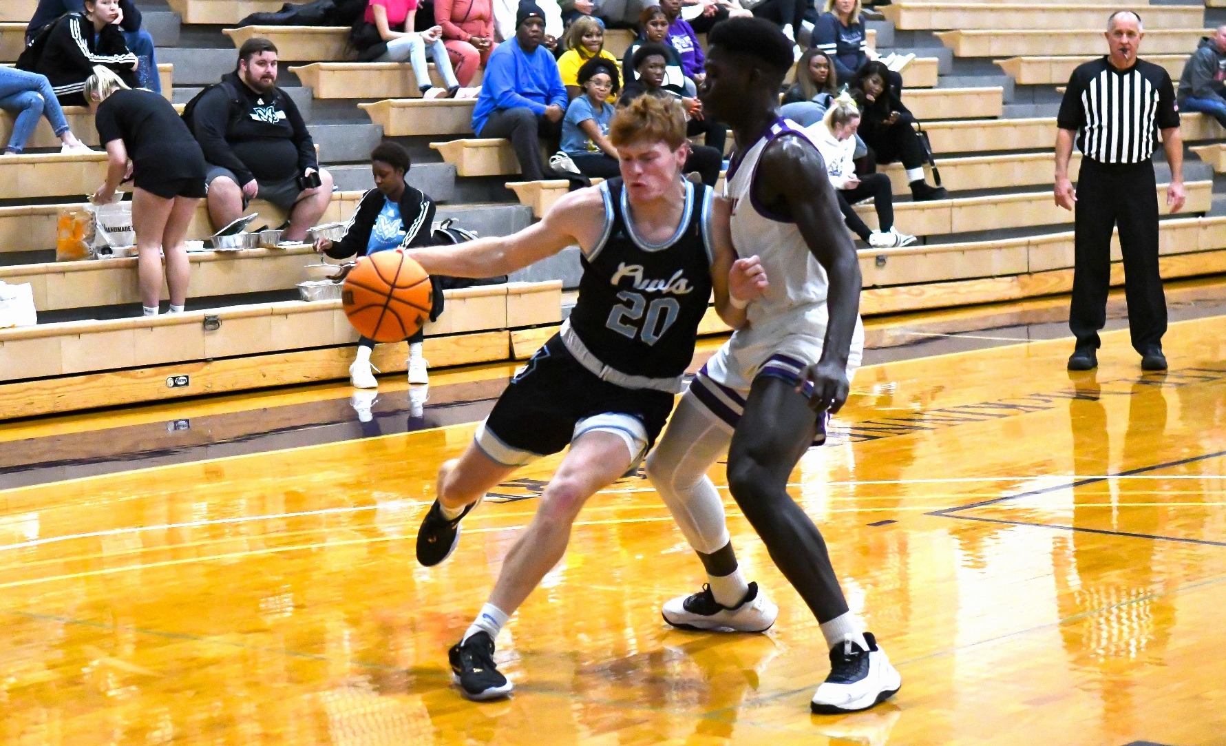 Dukes a hazard to PSU-Brandywine in Owls’ comeback win - Mississippi ...