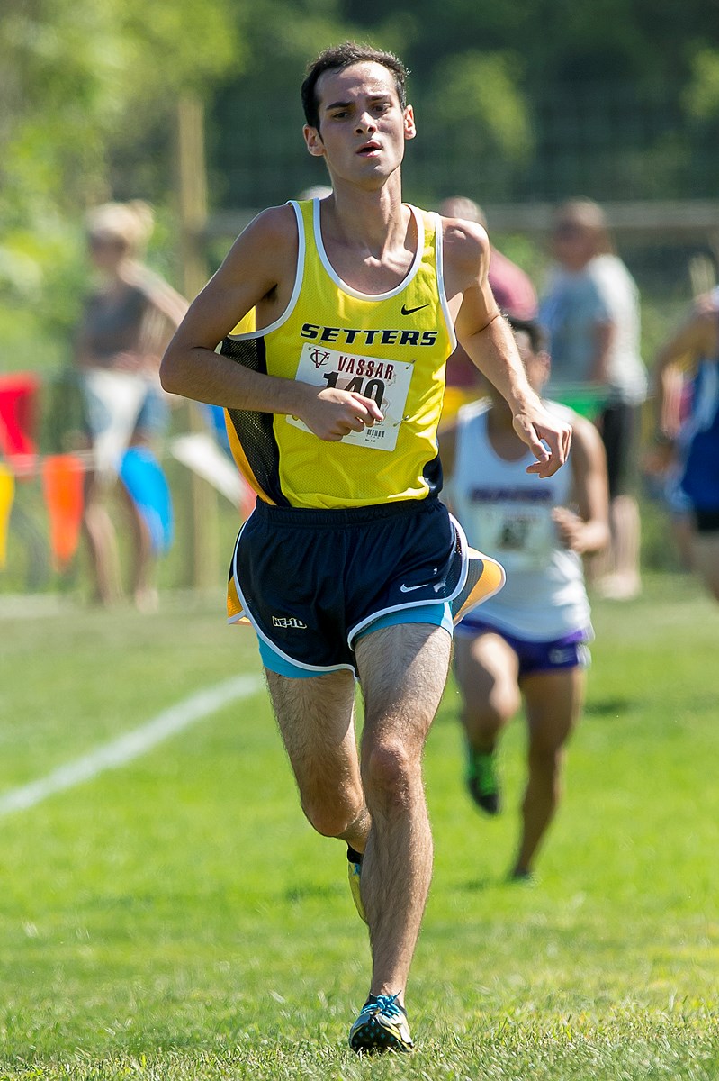 Nicholas Pisano - 2016 - Men's Cross Country - Pace University Athletics