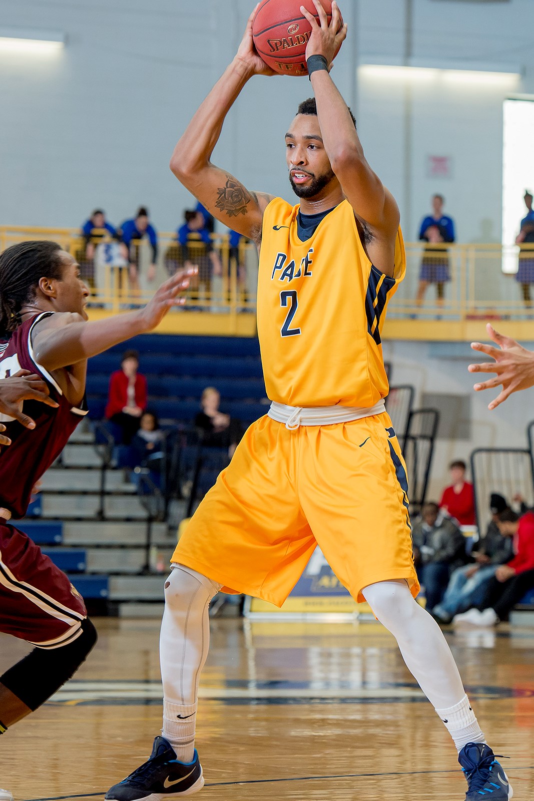 Kyle Pearson - 2014-15 - Men's Basketball - Pace University Athletics