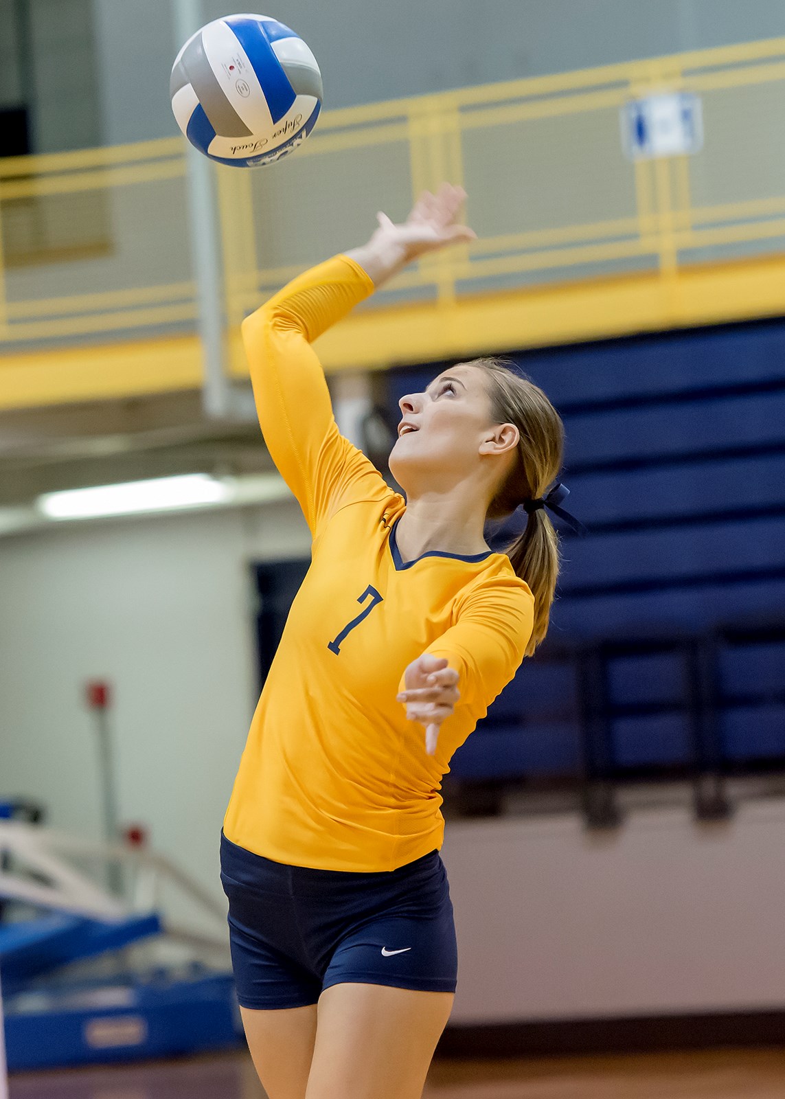 Samantha Marquez - 2016 - Women's Volleyball - Pace University Athletics