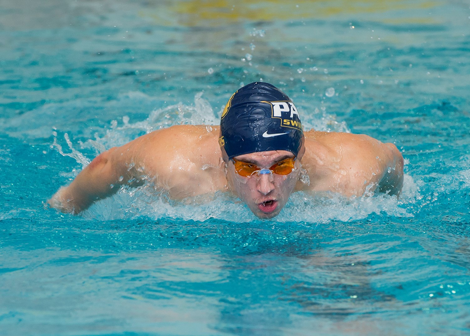 Sven Latinovic - 2018-19 - Men's Swimming and Diving - Pace University ...