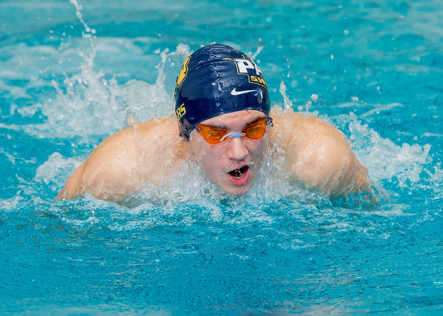 Sven Latinovic - 2018-19 - Men's Swimming and Diving - Pace University ...