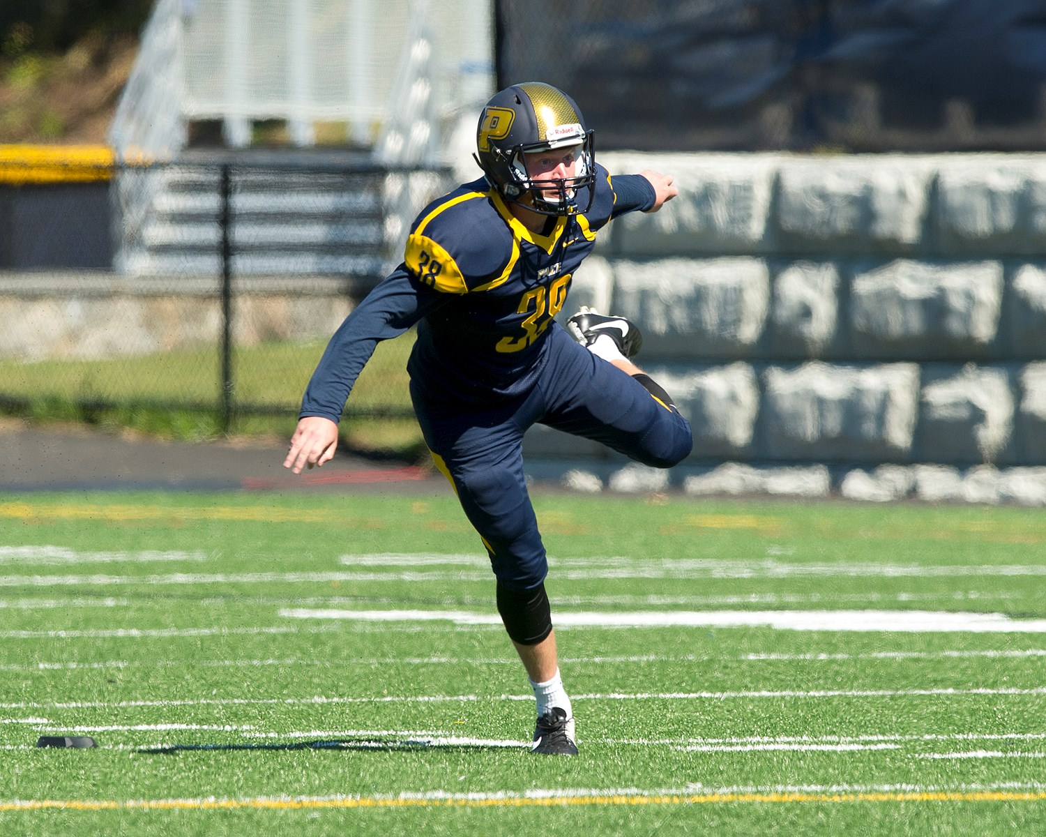 Pat Davis - 2019 - Football - Pace University Athletics