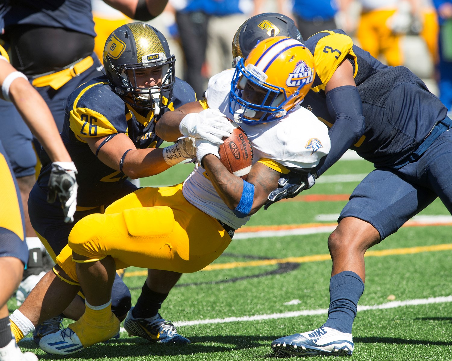 Brandon Young - 2016 - Football - Pace University Athletics