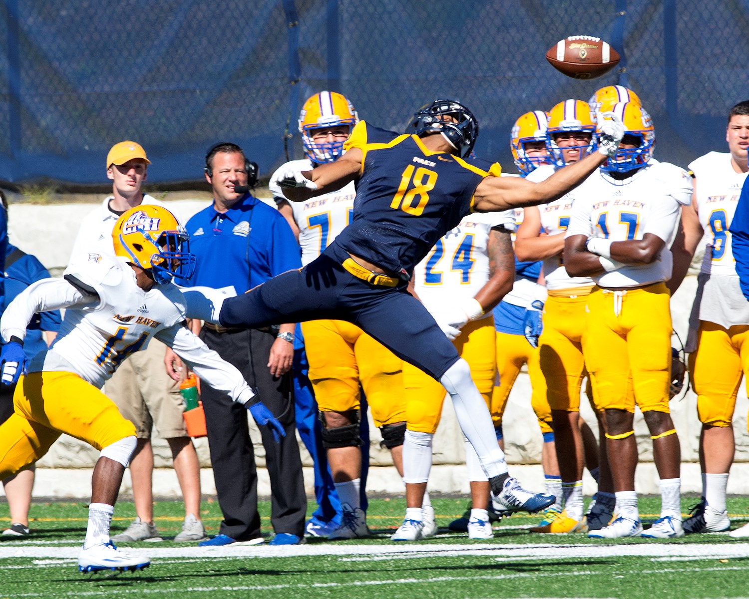 Alex Toplyn - 2018 - Football - Pace University Athletics