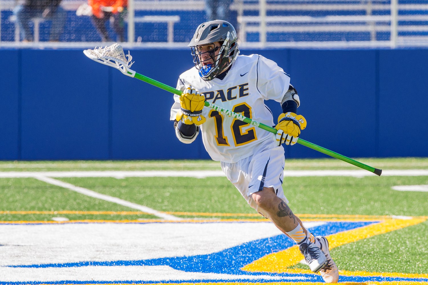 Jeremy Wiley - 2015 - Men's Lacrosse - Pace University Athletics