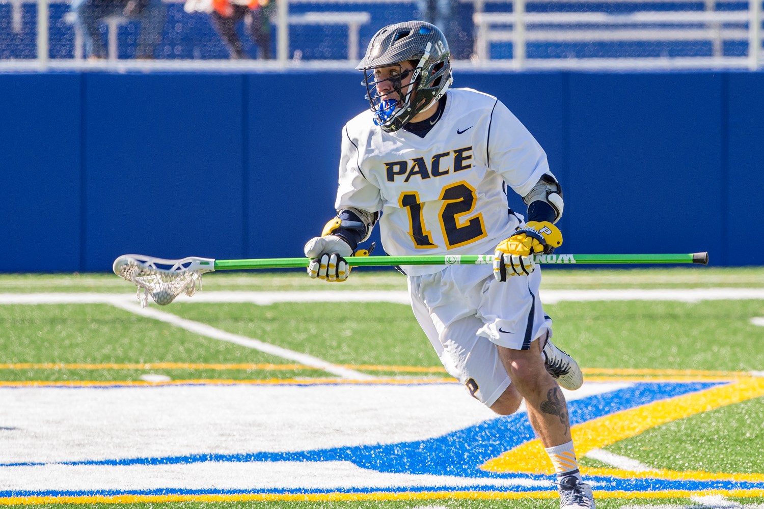 Jeremy Wiley - 2015 - Men's Lacrosse - Pace University Athletics