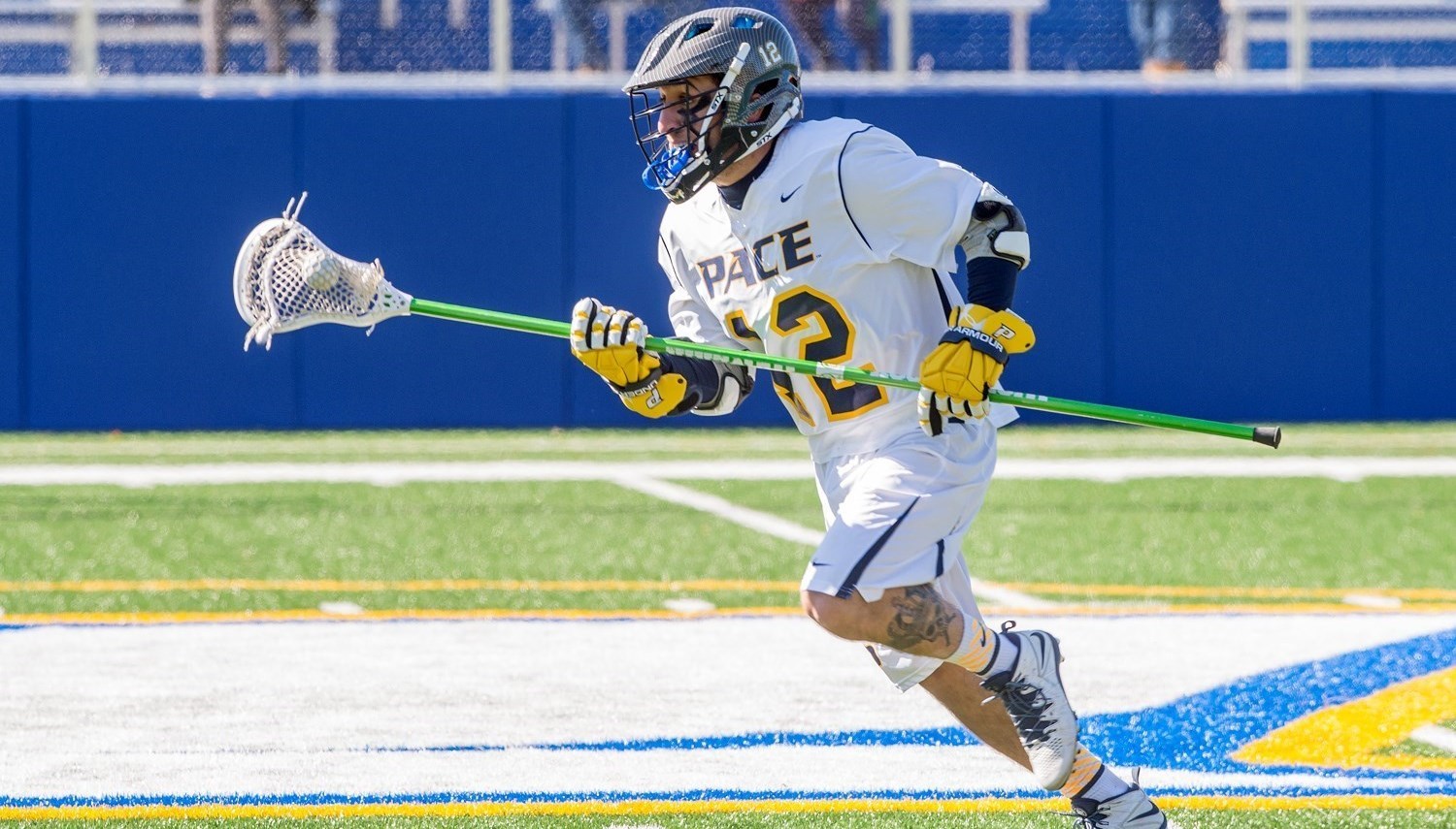 Jeremy Wiley - 2015 - Men's Lacrosse - Pace University Athletics