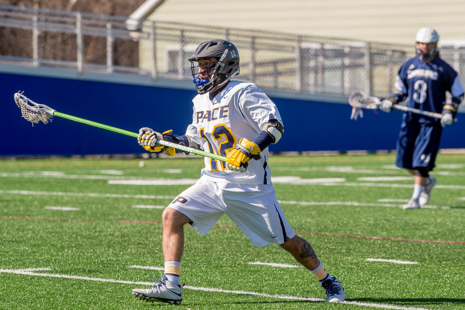 Jeremy Wiley - 2015 - Men's Lacrosse - Pace University Athletics