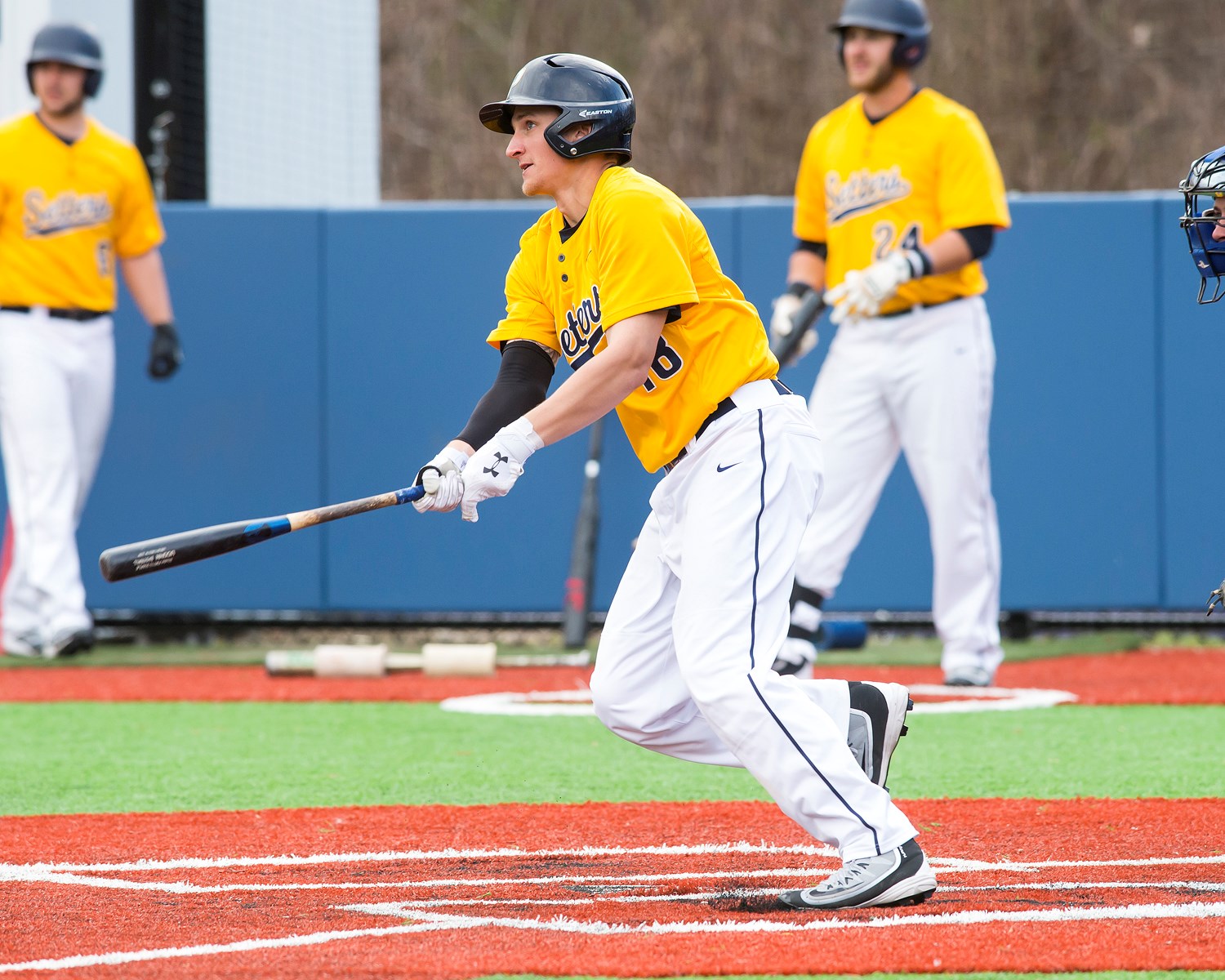 Cory Capaldi - 2017 - Baseball - Pace University Athletics