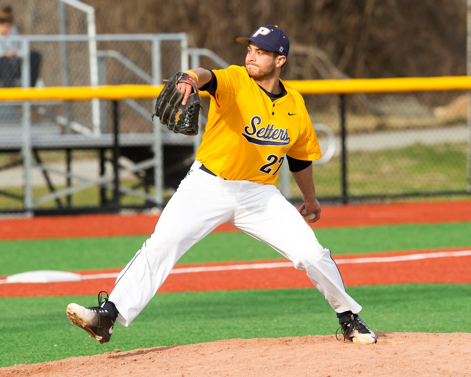 Anthony Rocco - 2017 - Baseball - Pace University Athletics