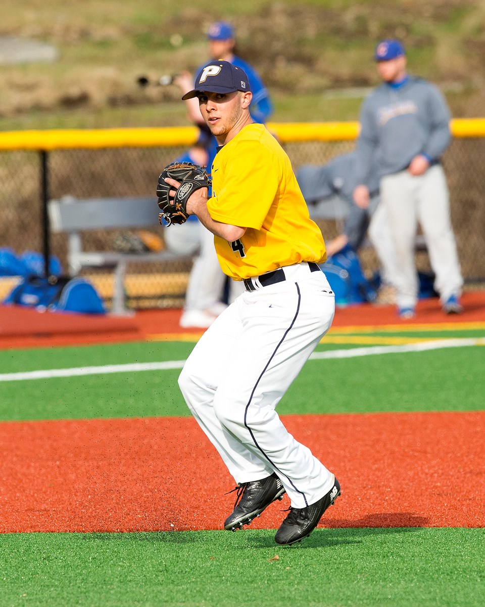 Alec Petrone - 2016 - Baseball - Pace University Athletics