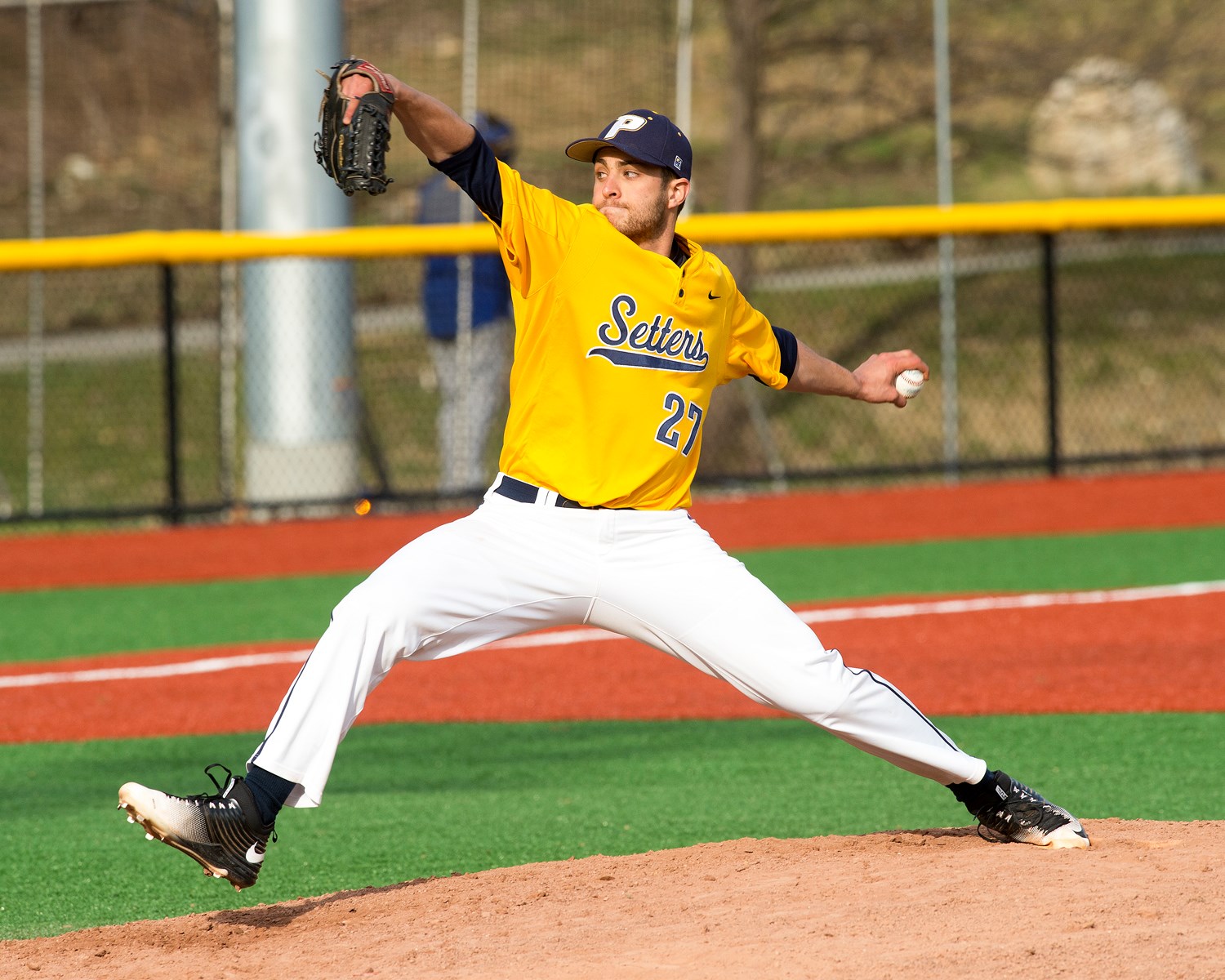 Anthony Rocco - 2017 - Baseball - Pace University Athletics