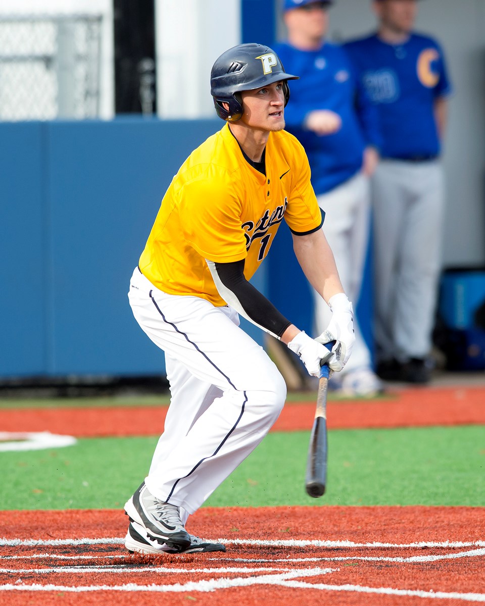 Cory Capaldi - 2017 - Baseball - Pace University Athletics